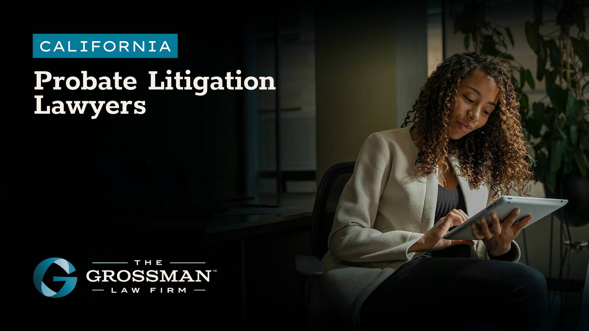 California Probate Litigation Attorney | Grossman Law Firm
